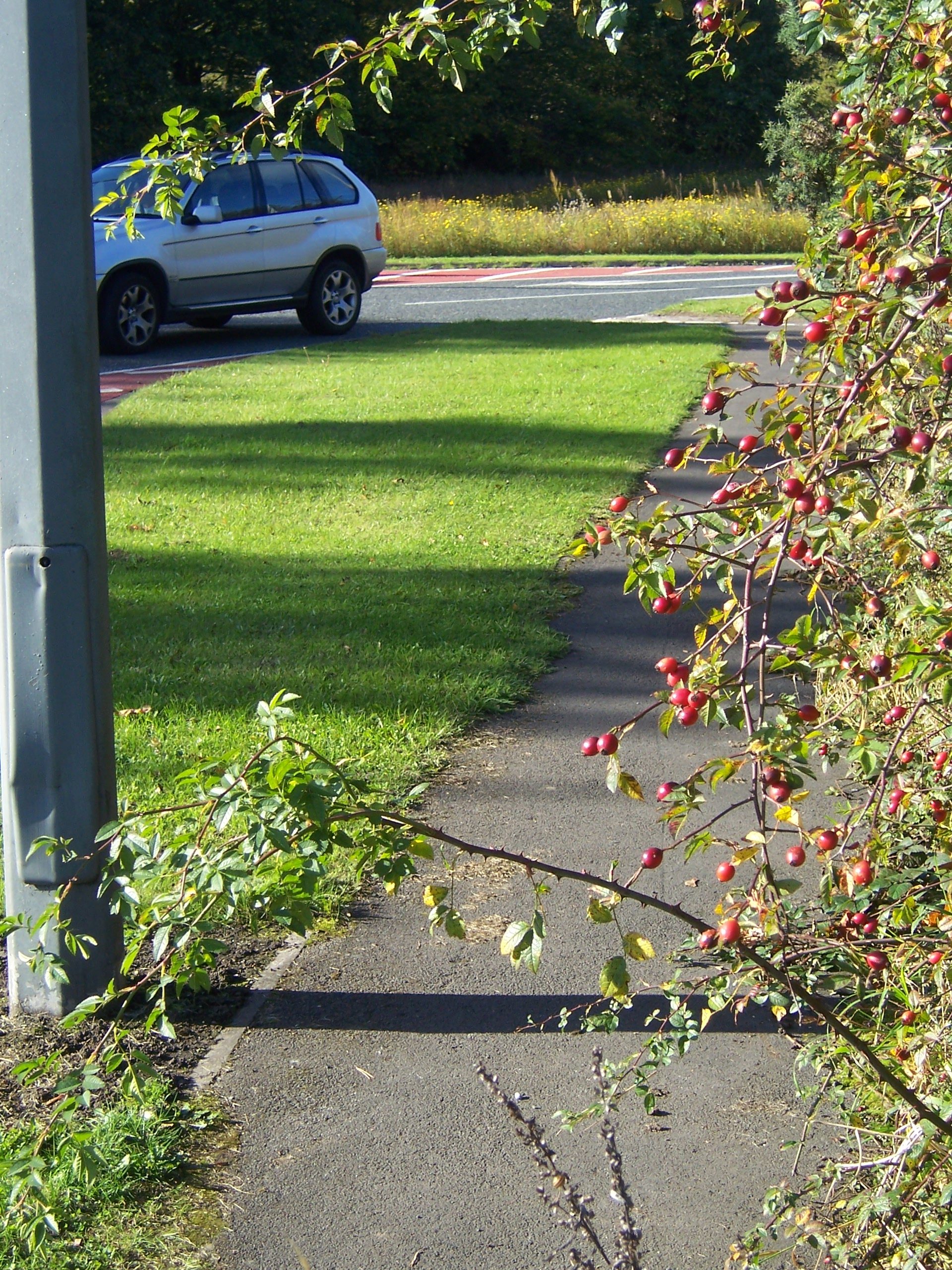 The A167 “Strategic route” – an update – SPACE for Durham